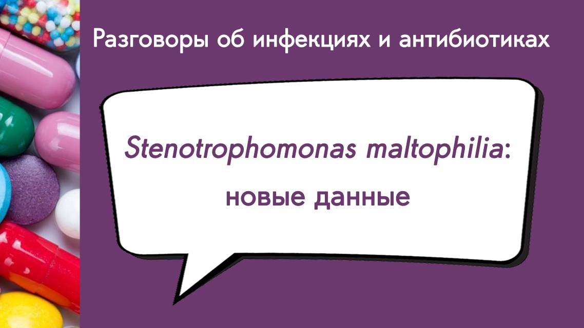 Stenotrophomonas maltophilia: новые данные