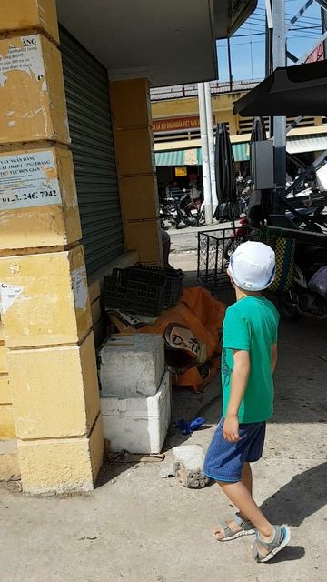 Много мопедов