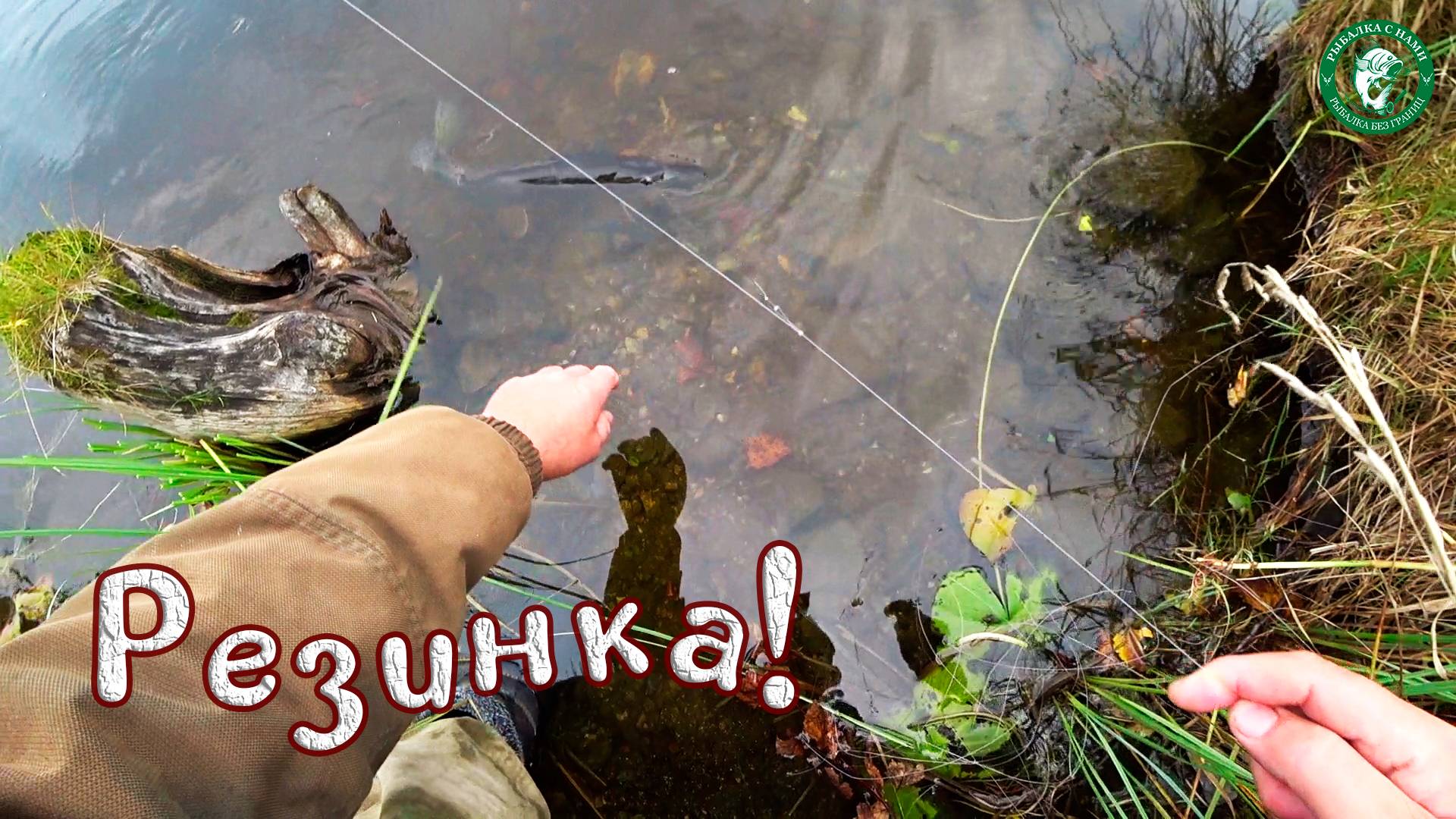 ВЫСТАВИЛИ РЕЗИНКУ И ВОТ ОНА ПОКЛЁВКА! ЩУКА, НА ДЕДОВСКИЕ СНАСТИ НА ЖИВЦА РАБОТАЮТ, А ДРУГ НЕ ВЕРИЛ!