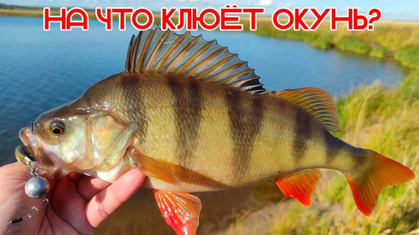 ПРИМАНКИ на окуня!