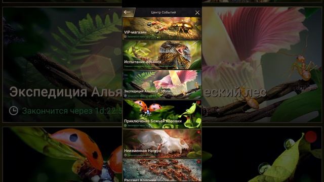 The Ants 🐜 (15) Муравей - Паук 😈👀🐜