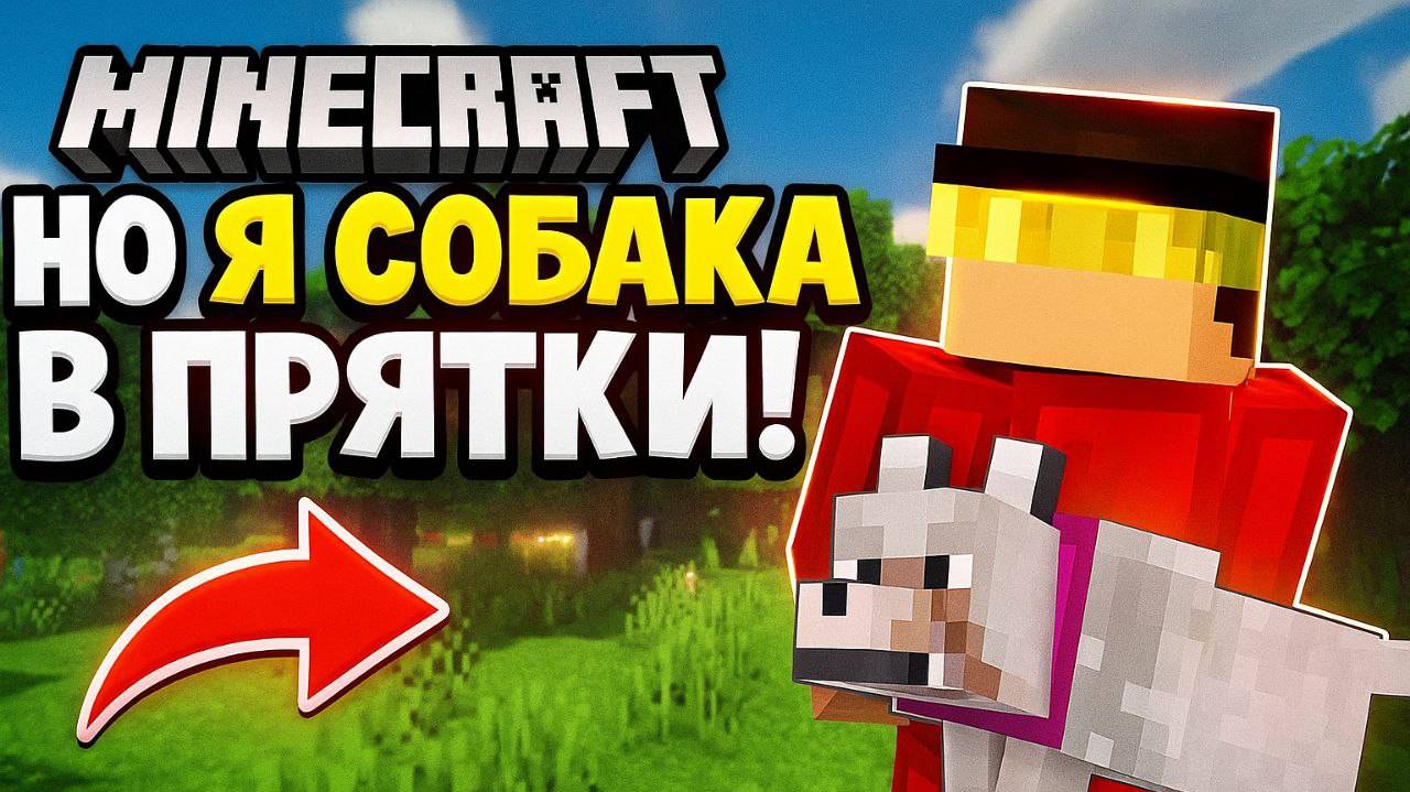Собаки