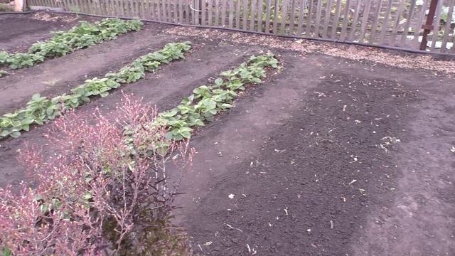 Работы на моем участке в конце сентября