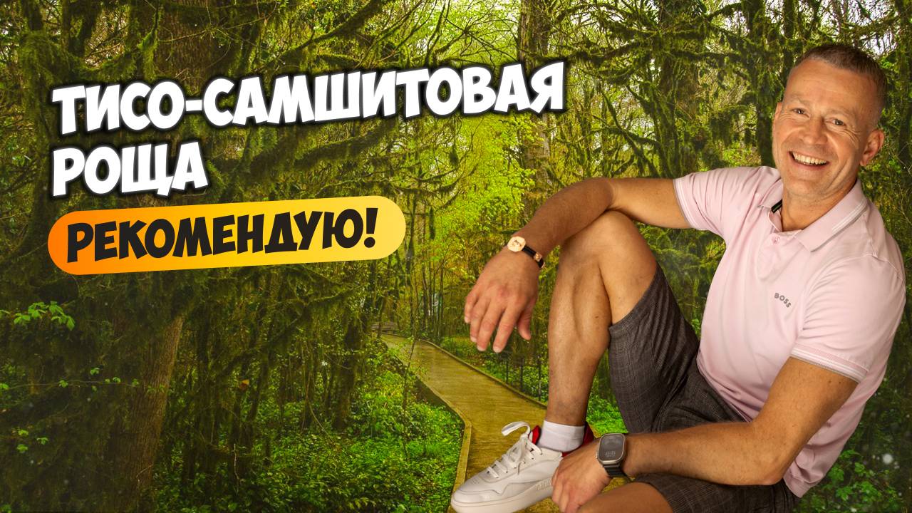 Тисо-самшитовая роща. Прогулка. Очень рекомендую!