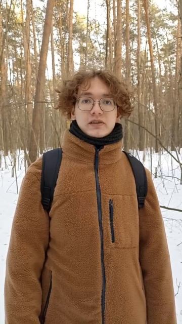 Отзыв студента 2