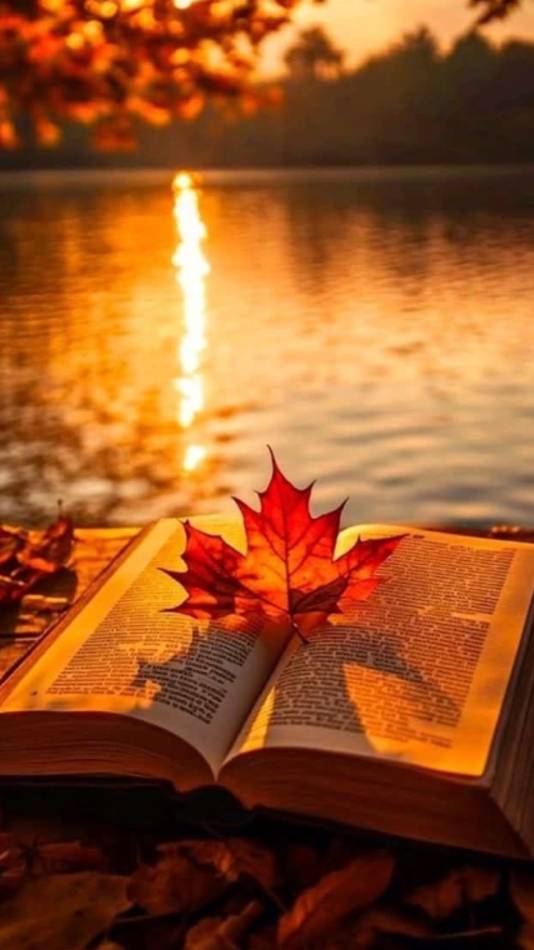 Добрый вечер и спокойной ночи!