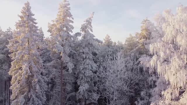 ЧУВАШСКАЯ ПЕСНЯ ПОД ГИТАРУ "Уяр та сивĕ"