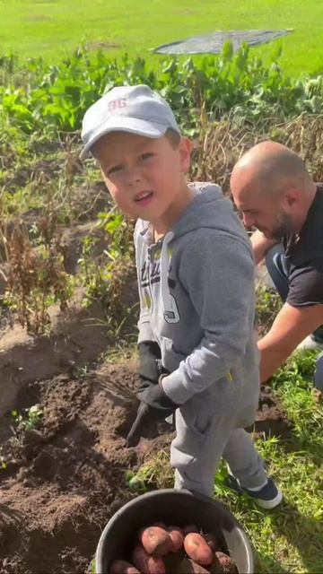 Сбор урожая