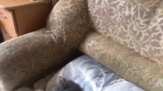 Макс уезжает домой. Держим за него кулачки