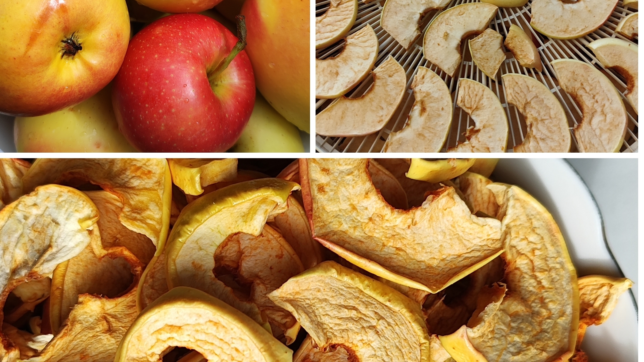 Яблоки в сушилке 27-09-2025