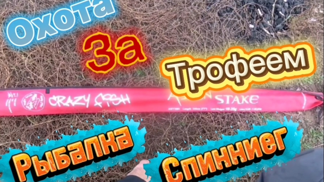 Рыбалка на реке Клязьма Сентябрь 2025