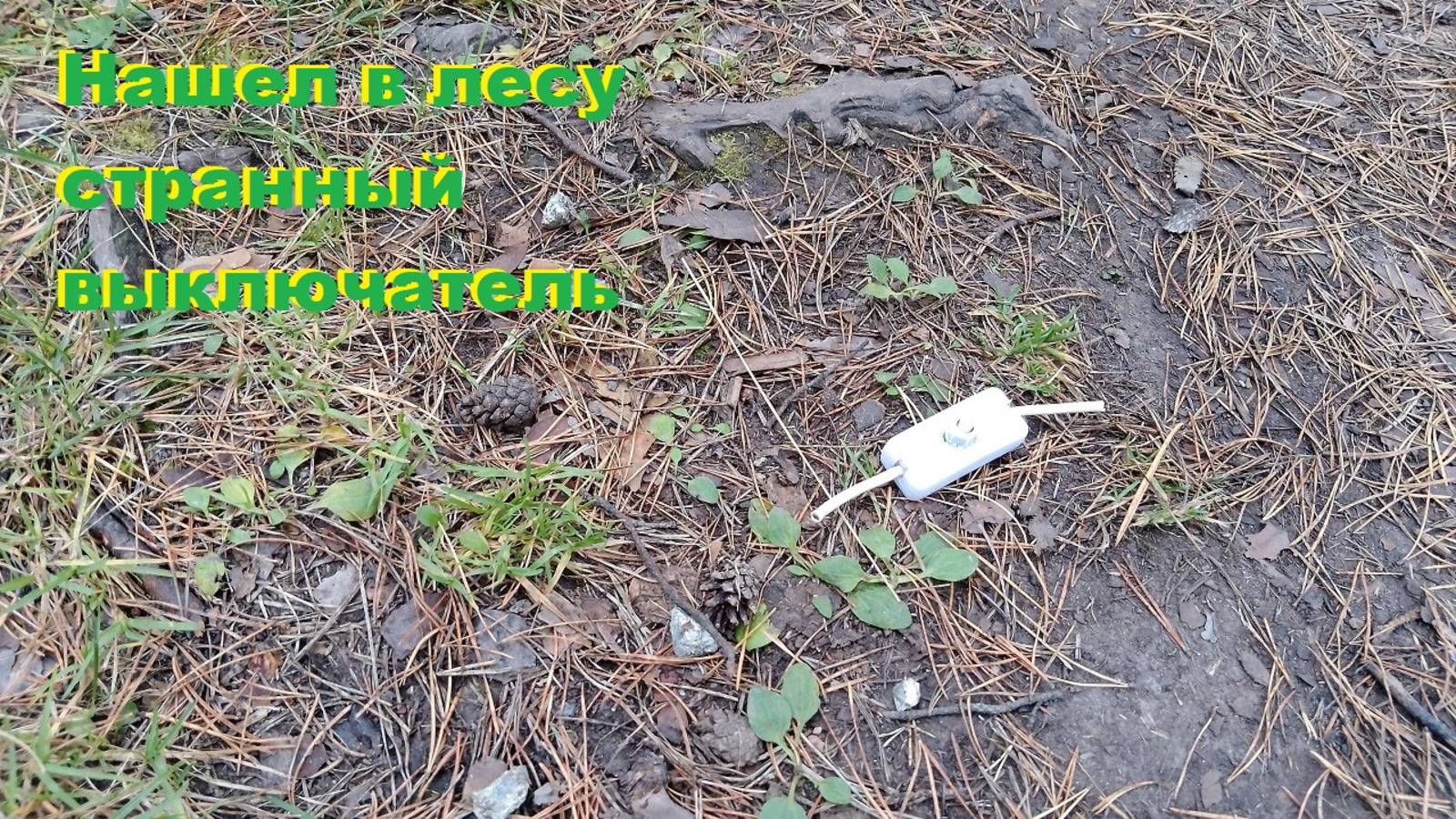 Выключатель Щелкунчик