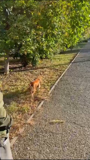 Арчи и мусор! Забирайте мусор за собой! Свинство на природе