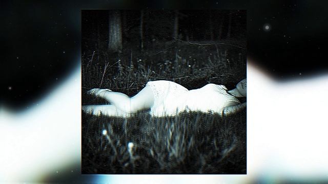 WMond - startly so