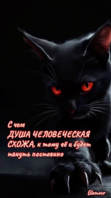 Чужая Душа  -  потёмки,но...