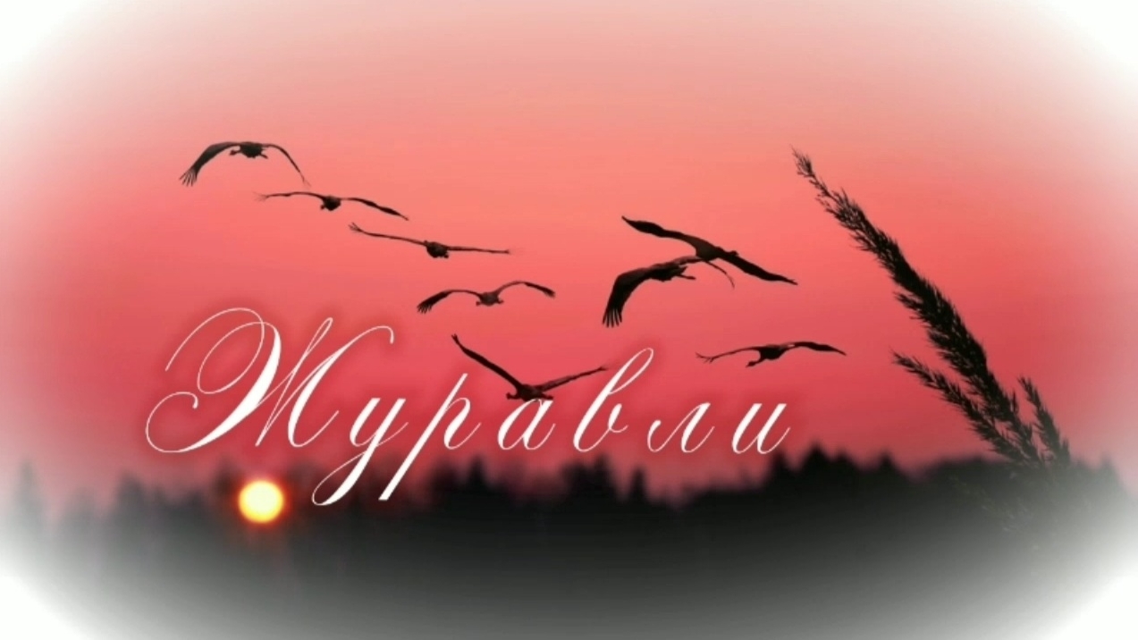 Журавли | христианская песня | Игорь Малюк