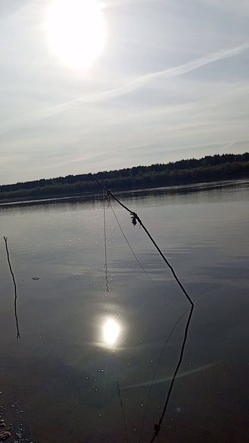 где отдохнуть в России, природа, праздник, палевицы, коми, осень