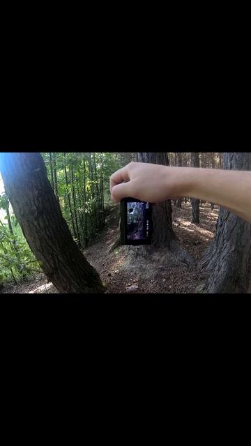 Sony NEX-5 + 18-55mm f3.5-5.6 oss