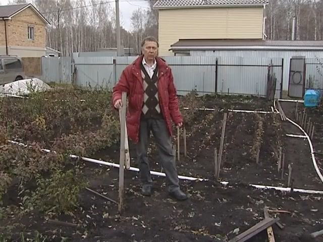 2015 11 24 Лотенков сажает косточки абрикоса