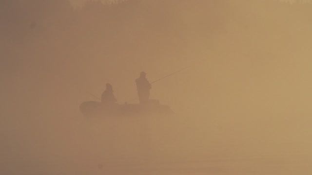 "О ЧЕМ МОЛЧАТ РЫБЫ"