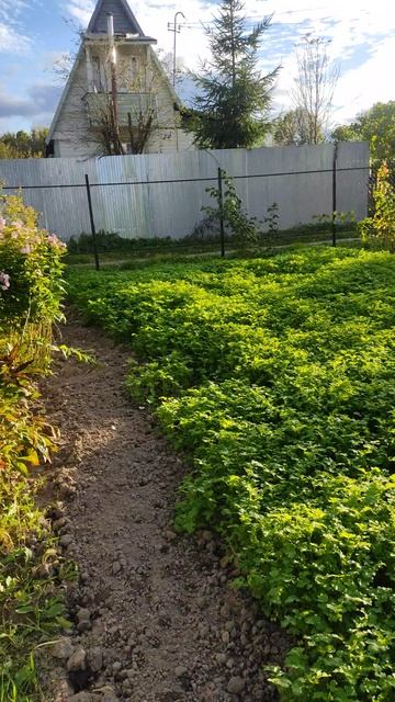 26-09-2025 осень