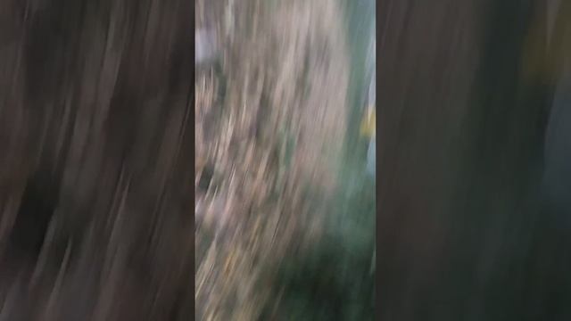 игра с с белку и в апорт.mp4