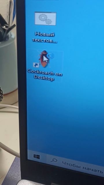 тараканы!✅✅📄