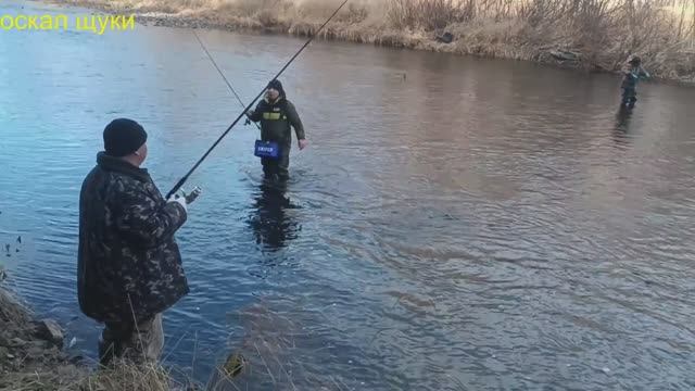 Рыбалка на хариуса, мальму, кунджу мухами