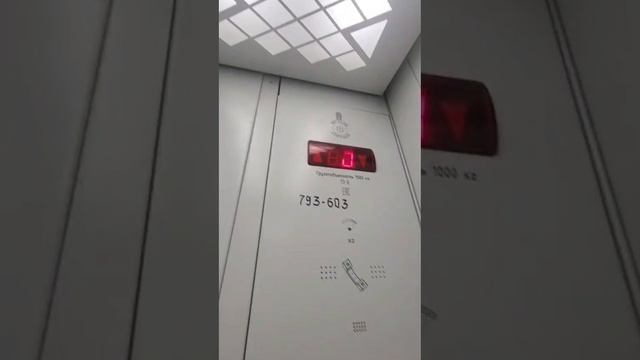 Танцы трясущихся лифтов ❗Приключения в лифтах ЖК Царицынский + СМЕШНОЙ МОМЕНТ | Лифты