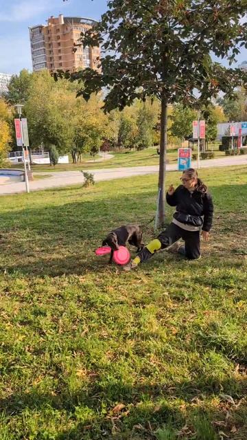 Спортивный Метис Нэтта - флиповый барьер через ногу