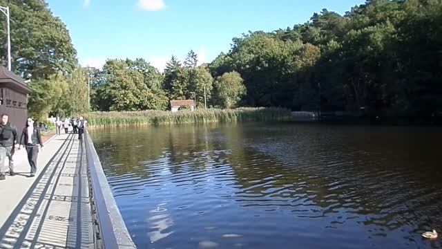 ОЗЕРО ТИХОЕ. СВЕТЛОГОРСК. КАЛИНИНГРАДСКАЯ ОБЛАСТЬ