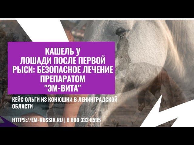 Кашель у лошади после первой рыси: безопасное лечение препаратом "ЭМ-Вита"
