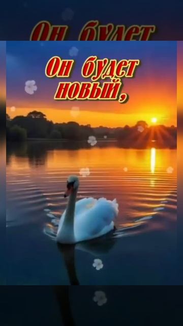 Спокойной ночи