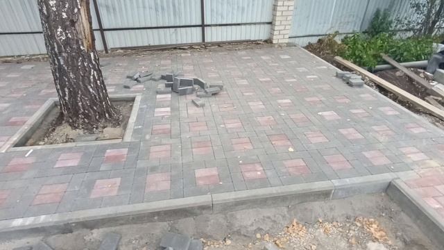 Четвертое видео поле 20 дней работы мастра.