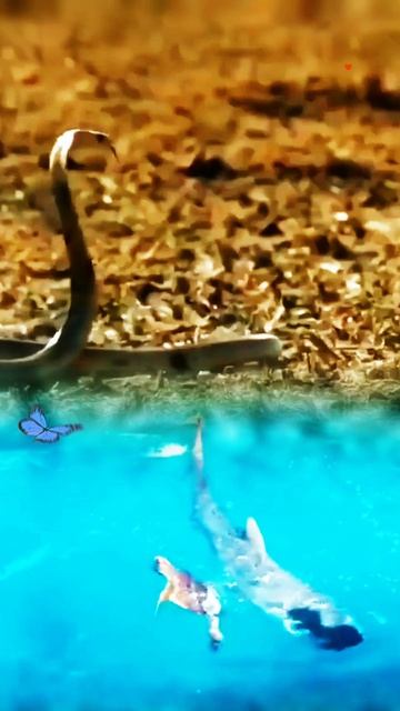 Уч нарсани эхтиëт кил😘 🥵