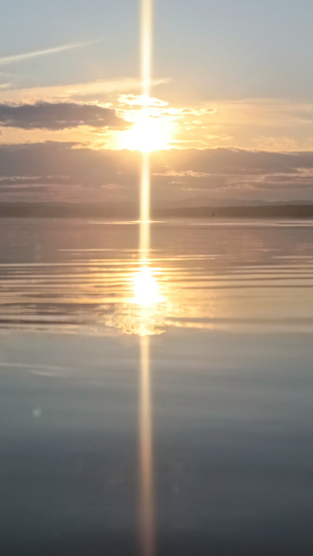 Закружил в свадебном танце #shorts #свадебныйтанец #пятница #топ #тренды #рекомендации  #dance #2025