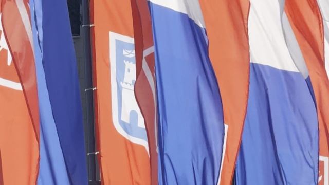 "Патриот" МАОУ "Лицей экономический №14", г. Ростов-на-Дону