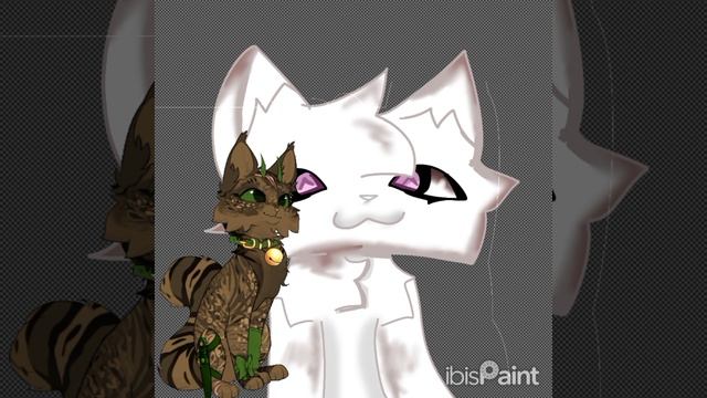 Звездолистка опять бушует |разоблочение 2|