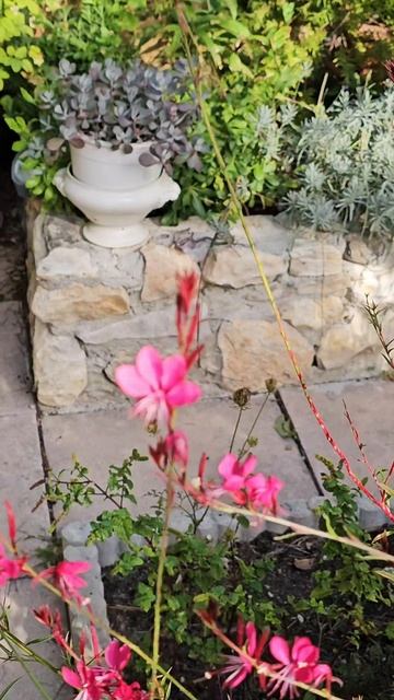 Осенние зарисовки из Прованса