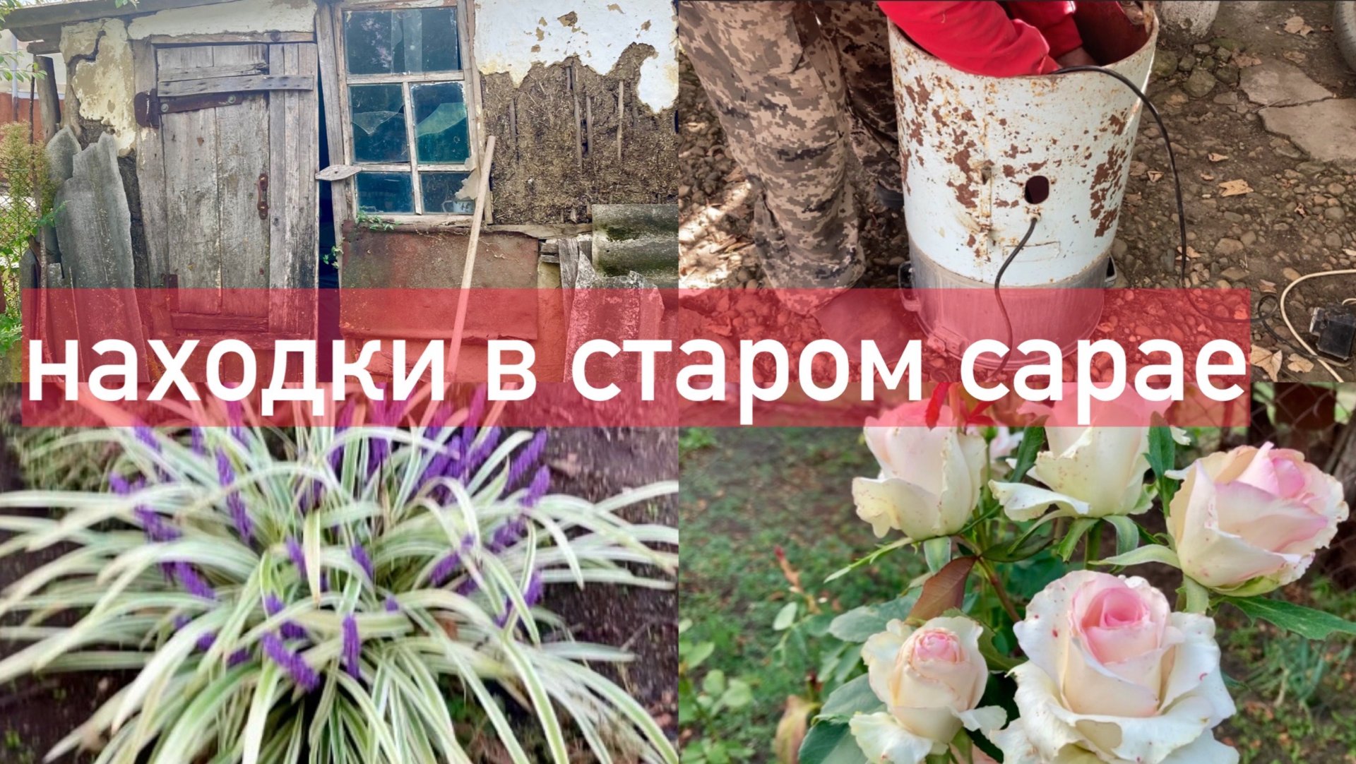 Жизнь в Адыгее/ День на хуторе/ Расхламление в сарае/ Поездка в станицу/ Вечерний костер/