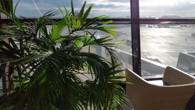 Внимание обман КОРАЛ ТРЕВЕЛ бизнес зал Малевич перелет Аэрофлотом связь в Таиланде