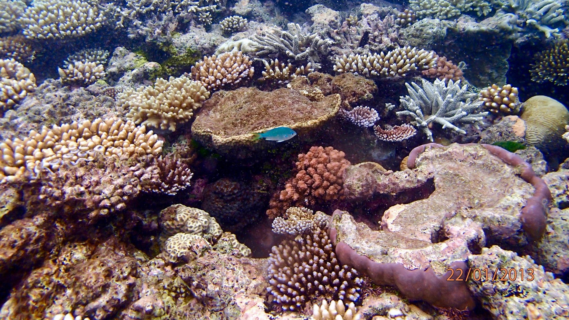 197. Квинсленд, Австралия