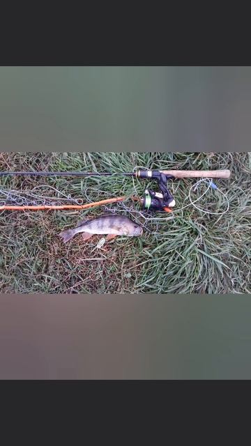 Порыбачил на Водохранилище🎣 Удалось поймать окуня на блесну вертушку🎣