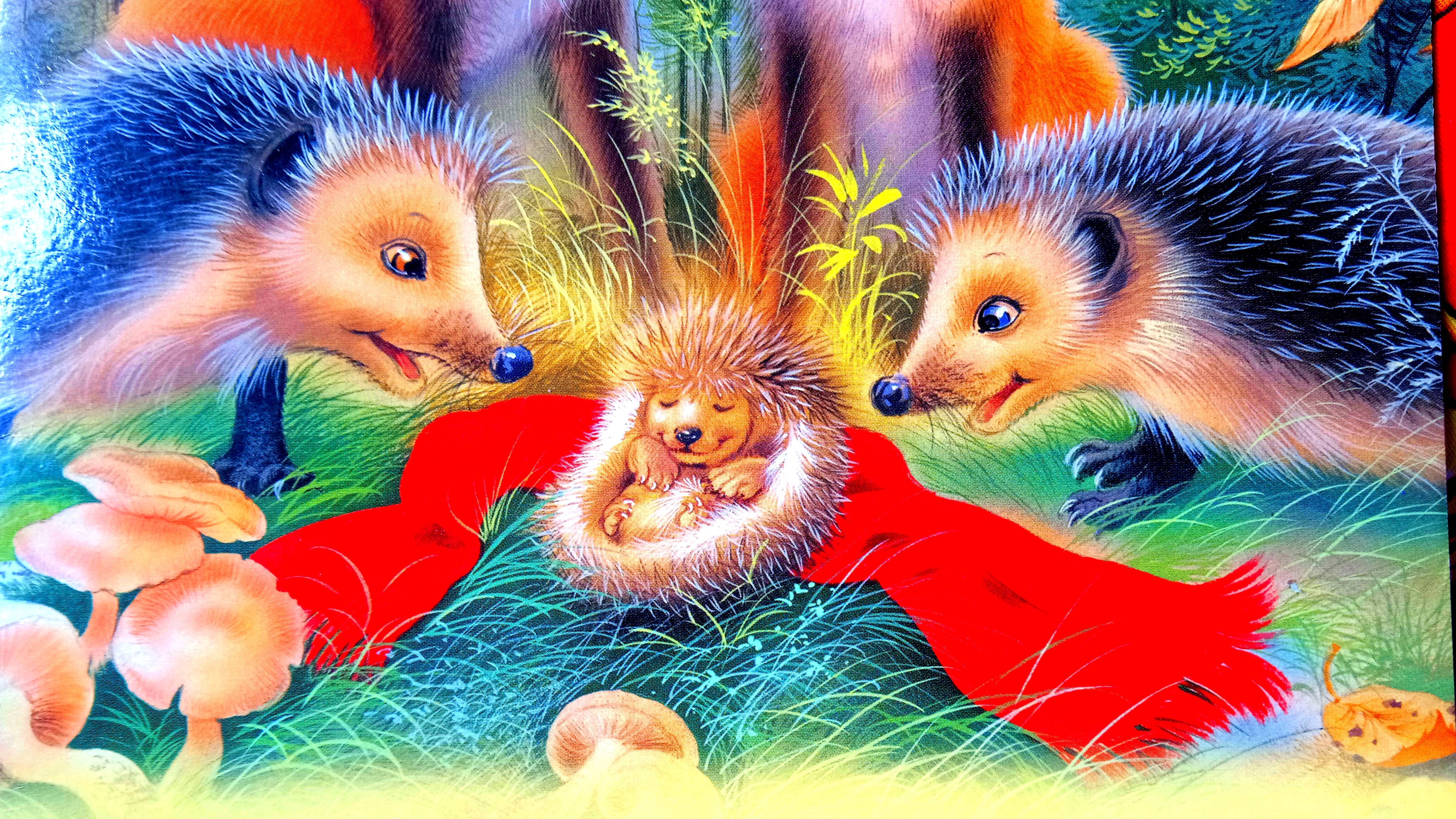 КАК ËЖИК ГОША ПОТЕРЯЛСЯ🦔🍁🙏😘 ❤