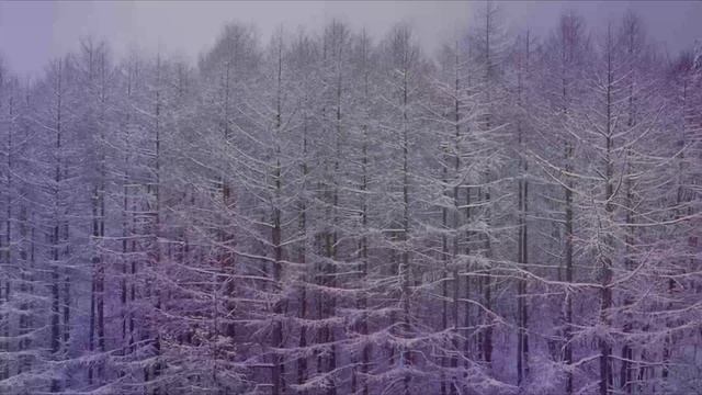 Ramio Lin - Канадэ