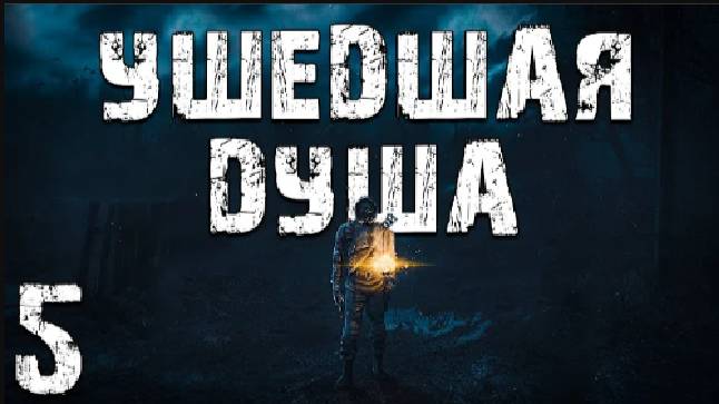 S.T.A.L.K.E.R. Ушедшая Душа #5. Контракт Ученых