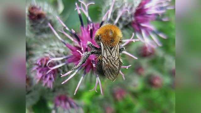 Фотоальбом «Времена года»