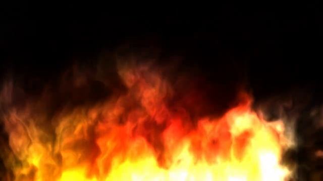 Tryptology - Peace Therapy