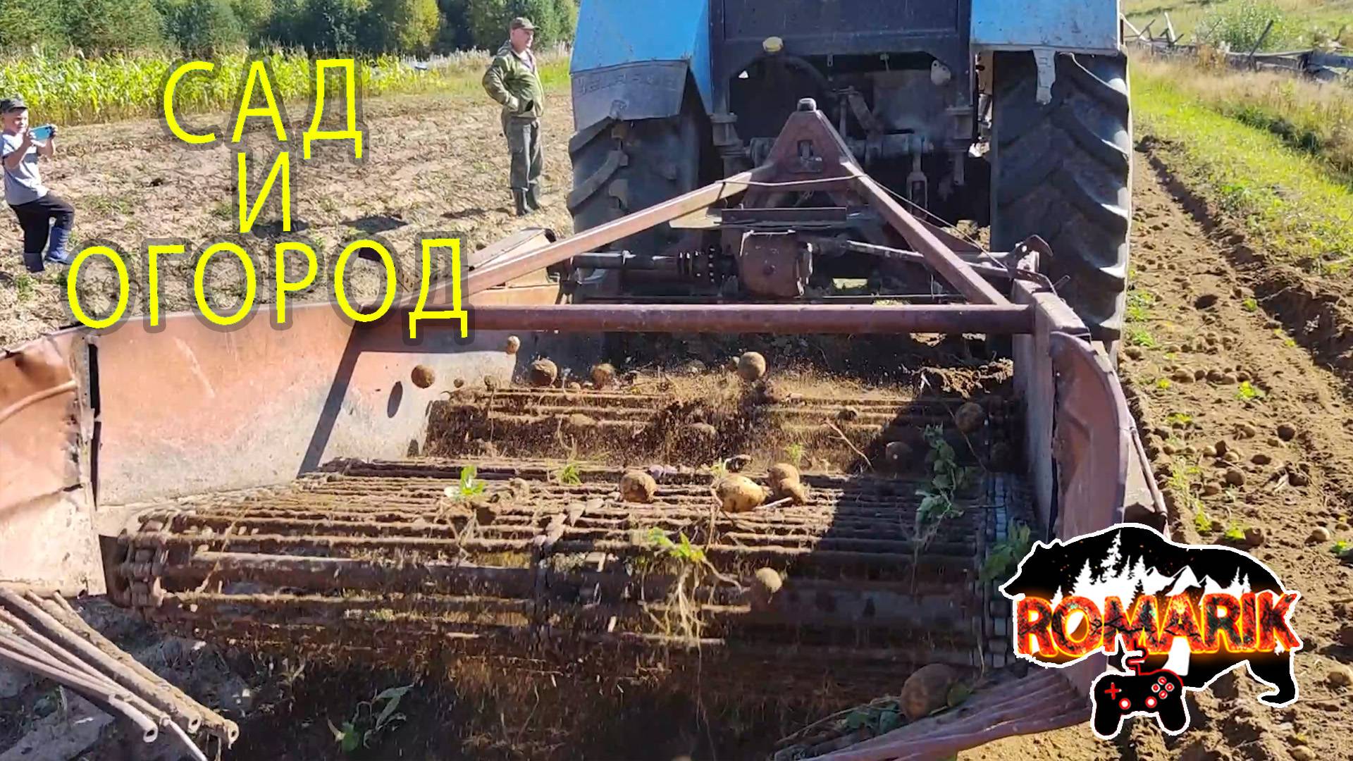 Дачные радости: Выкапываем богатый урожай картофеля!
