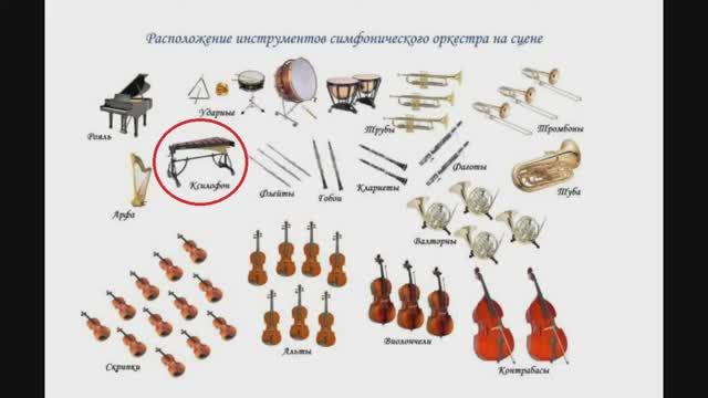 МУЗЫКА. ИНСТРУМЕНТЫ. ОРКЕСТР. СИМФОНИЧЕСКИЙ. КСИЛОФОН.